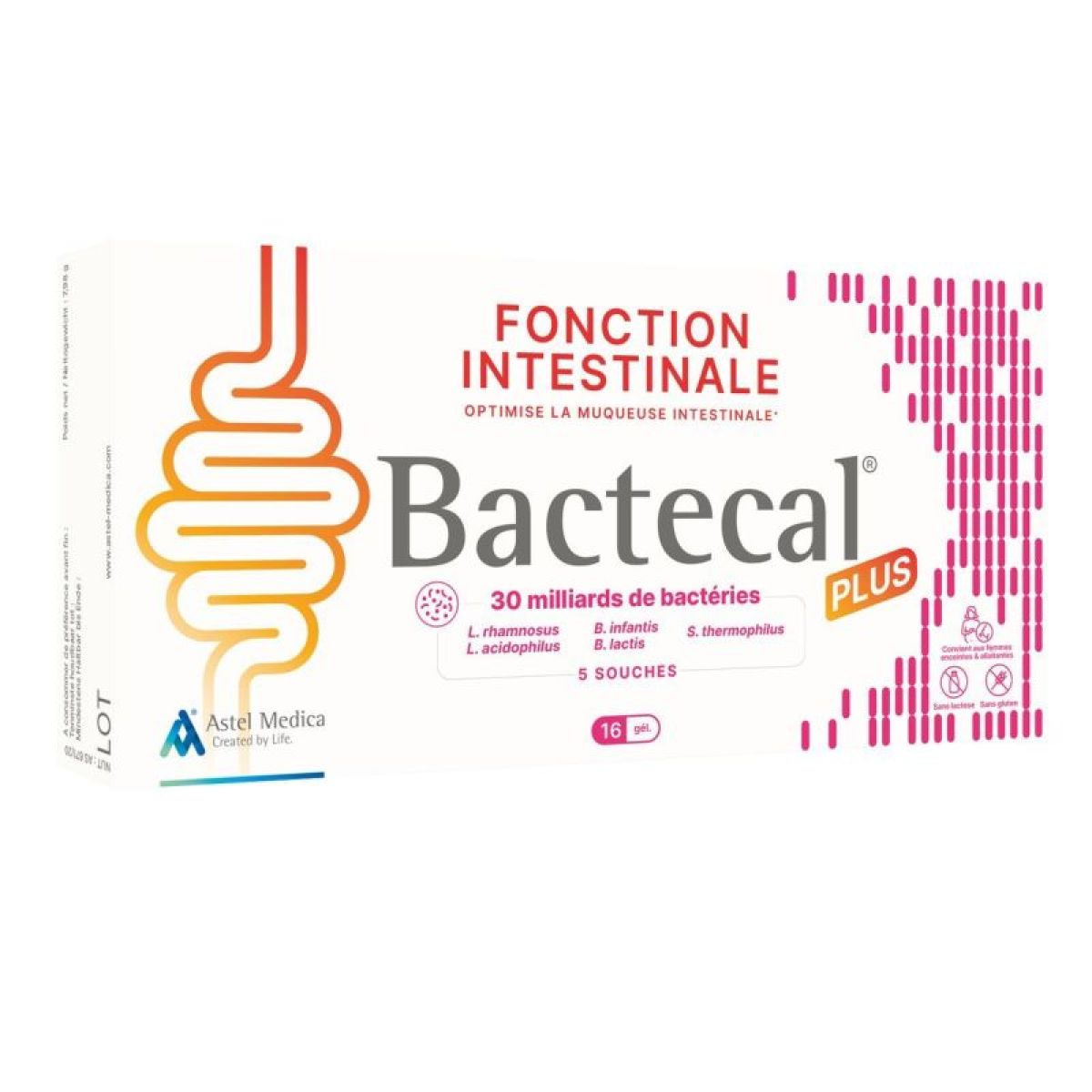 Bactecal Pus - Régulation Naturelle du Transit